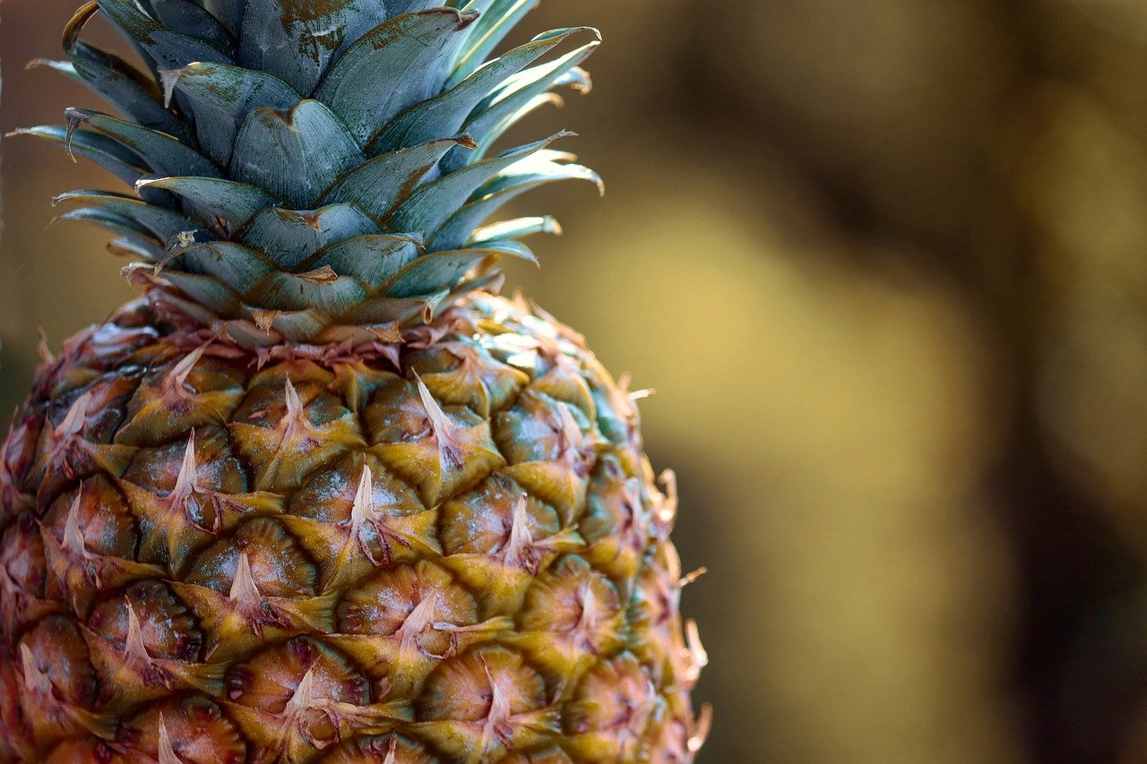 Pineapple Value Chain: A Comparative Study on The Profitability of ...